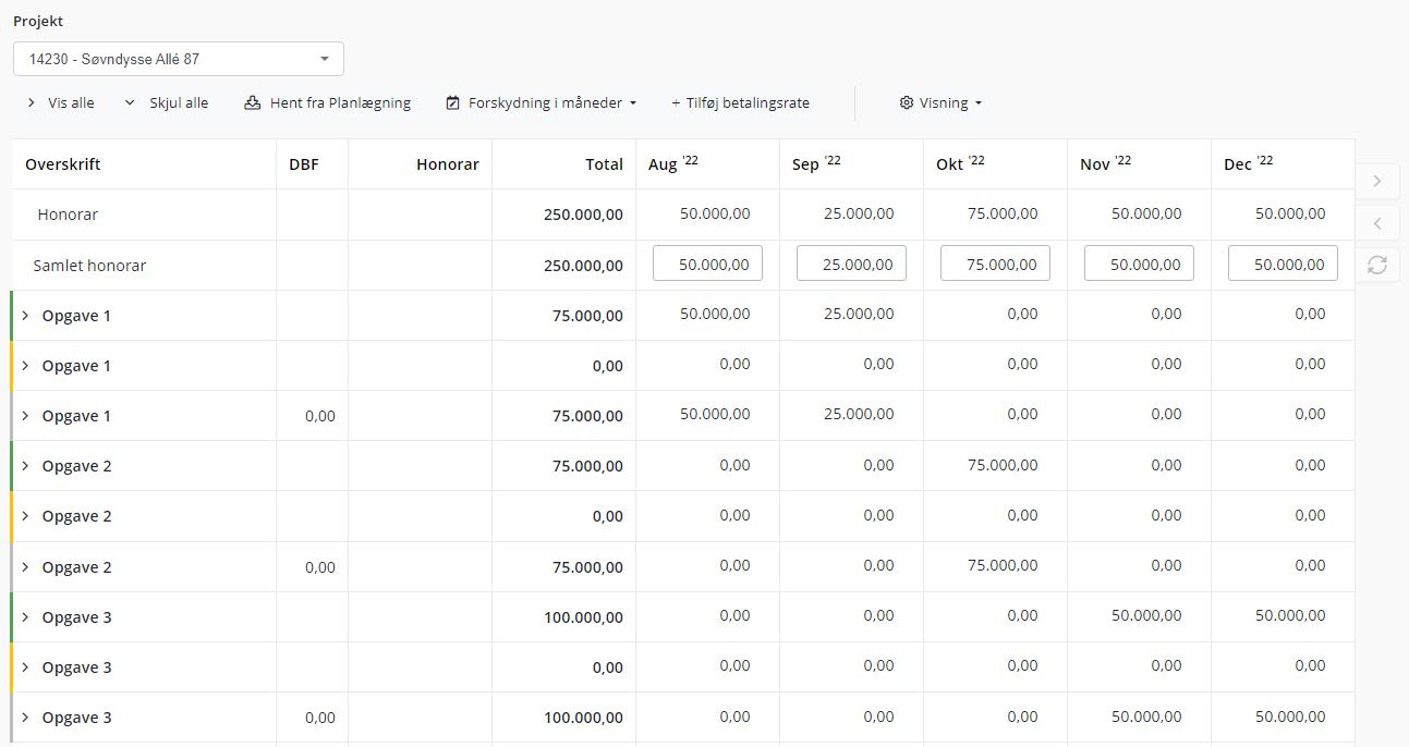 Guide til Budget Pro
